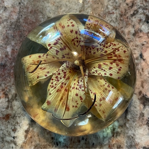 Accents | Vintage Signed W Rolfe Lily Flower Blossom Resin Paperweight ...